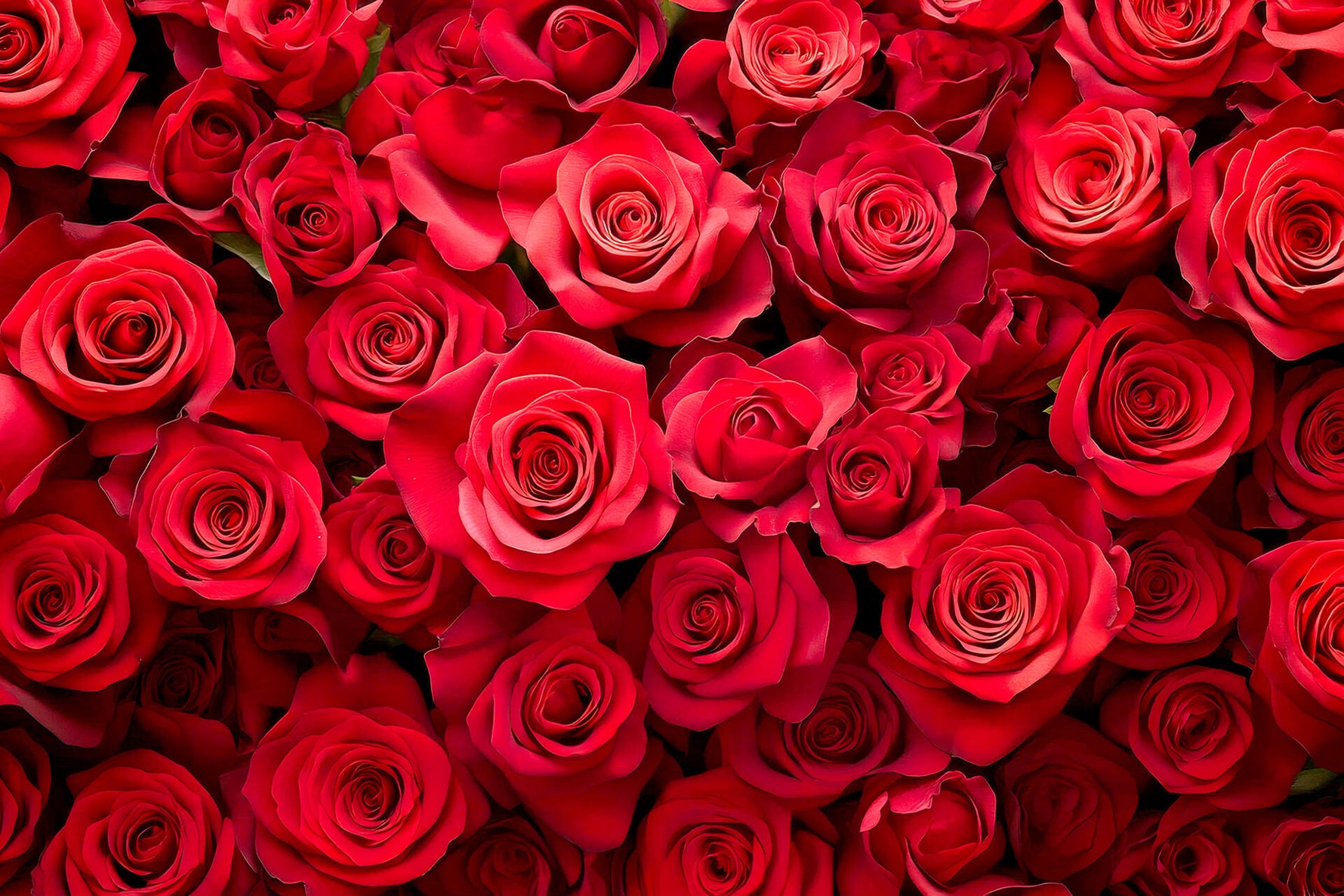 Valentines by Harrys Flowers flowers in Victoria, BC | Harry's Flowers ...